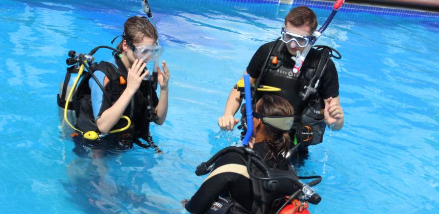 check-dive-egypt-divers